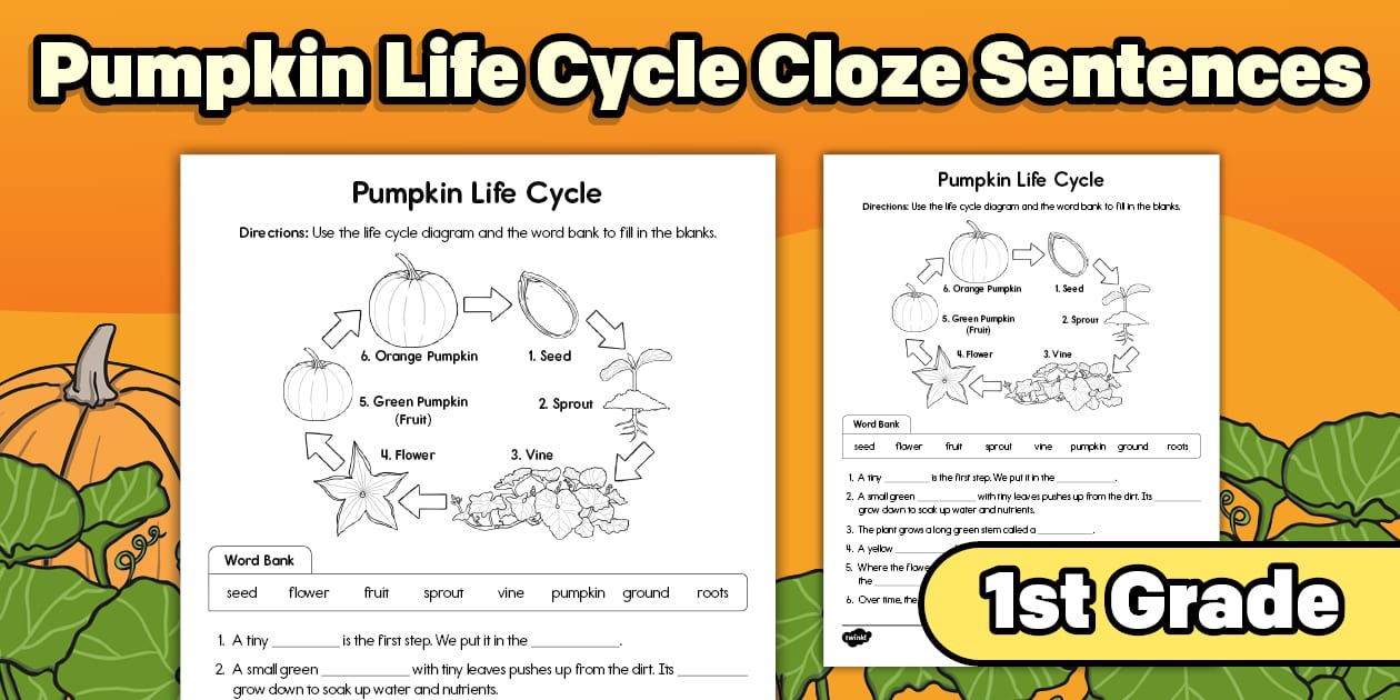 First Grade Pumpkin Plant Life Cycle with Cloze Sentences
