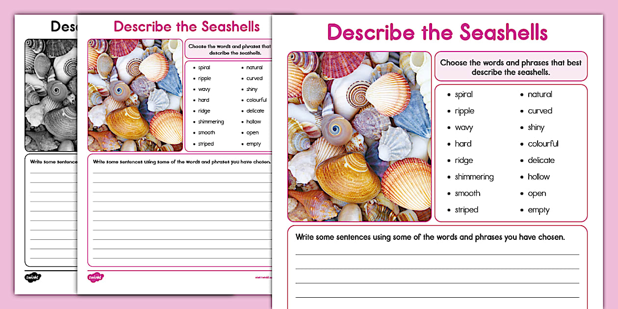 Describe the Seashells Worksheet (Teacher-Made) - Twinkl