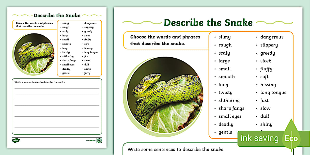 Describe the Snake Writing Activity Sheet,snake