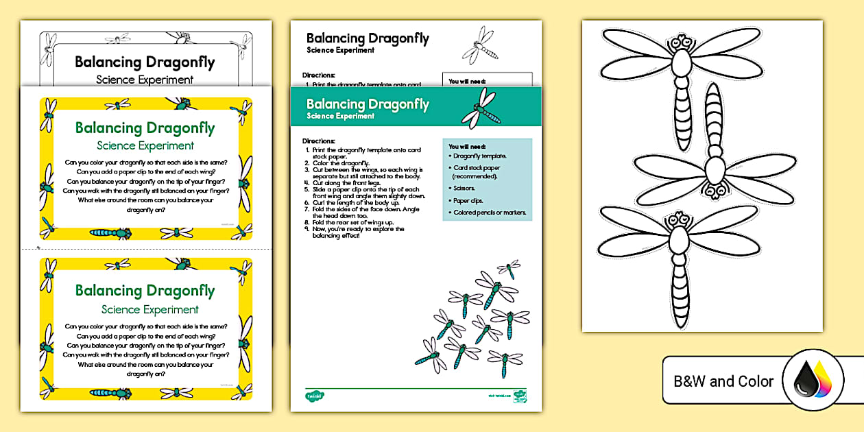 Balancing Dragonfly Science Activity for K-2nd Grade