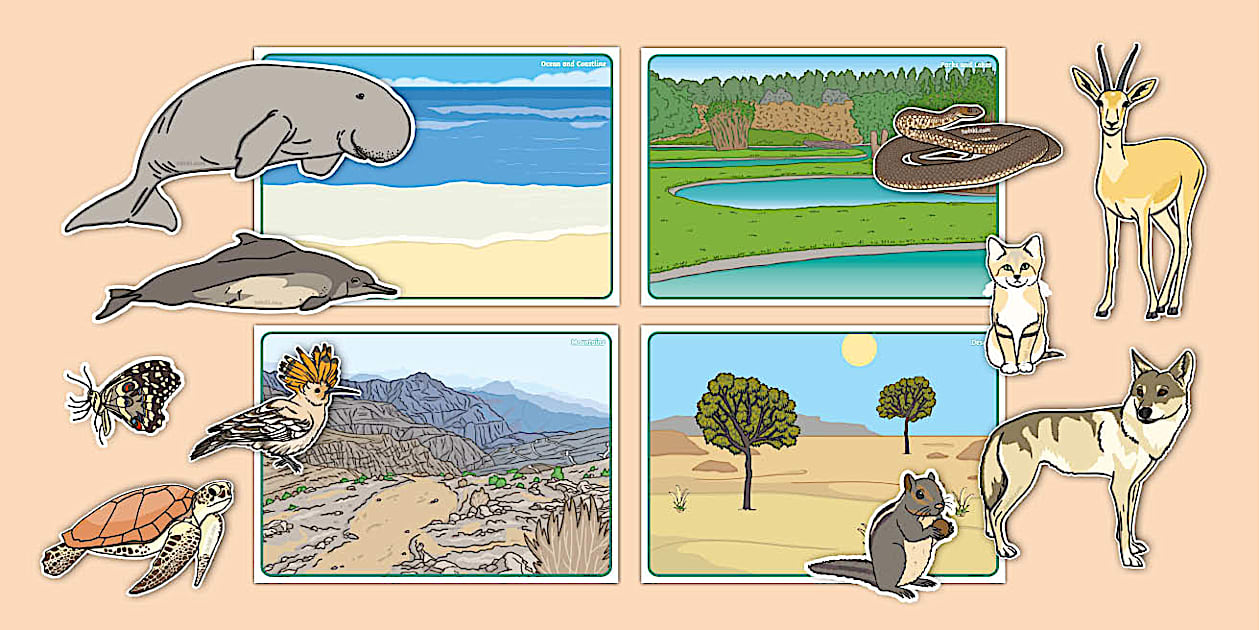 Arabian Animals Explorer - Wildlife Cut and Stick Scene
