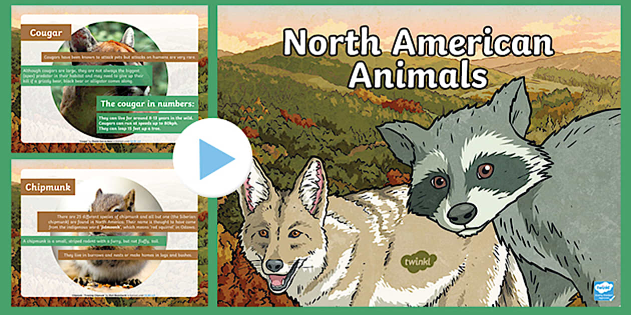 Animals of North America PowerPoint | Primary Resources
