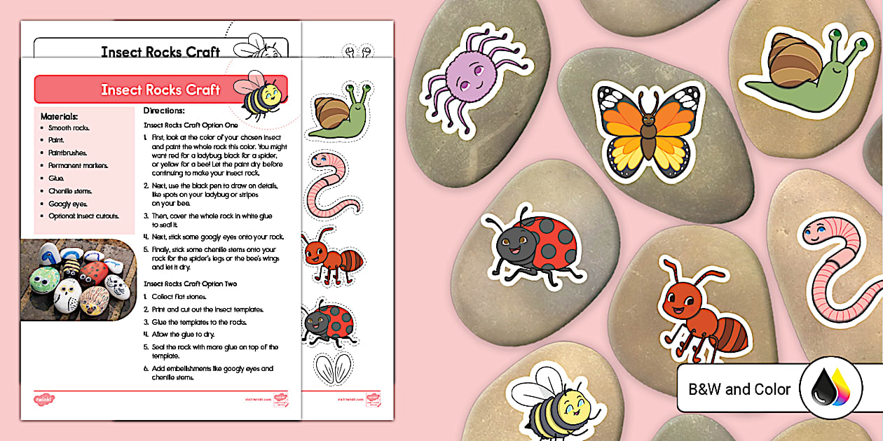 Insect Rocks Craft (teacher made) - Twinkl