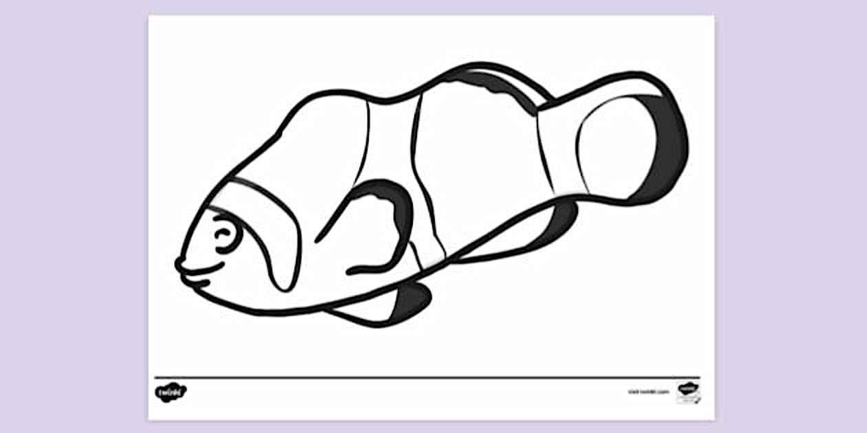 Young Clown Fish Colouring | Colouring Sheet (Teacher-Made)