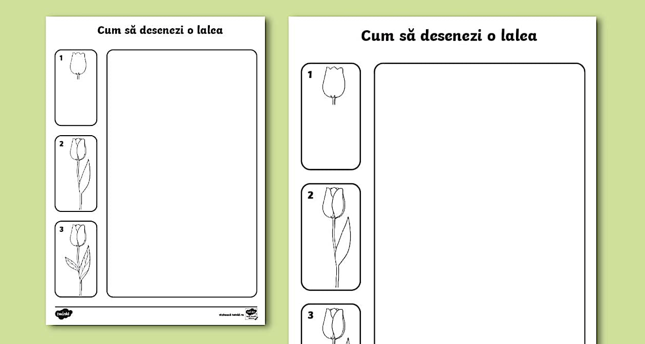 Cum să desenezi o lalea – Desen în creion pentru începători