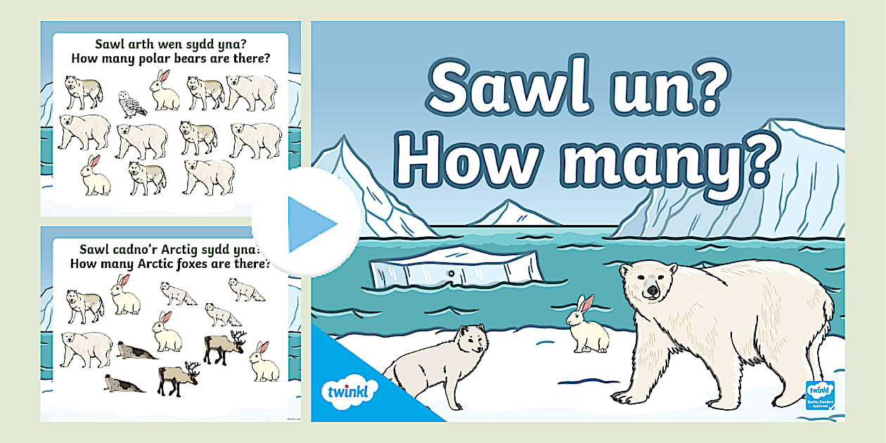 Learn Welsh: Counting to 5 in Welsh and English Arctic Animals Powerpoint