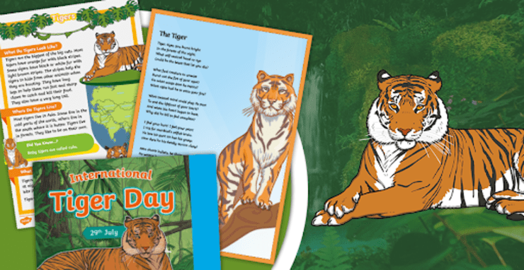 International Tiger Day 2026 - 29th July | Events | Twinkl