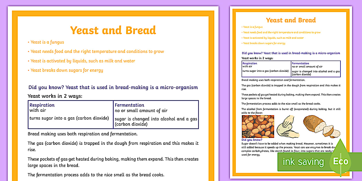 Bread and Yeast Display Poster (teacher made) - Twinkl