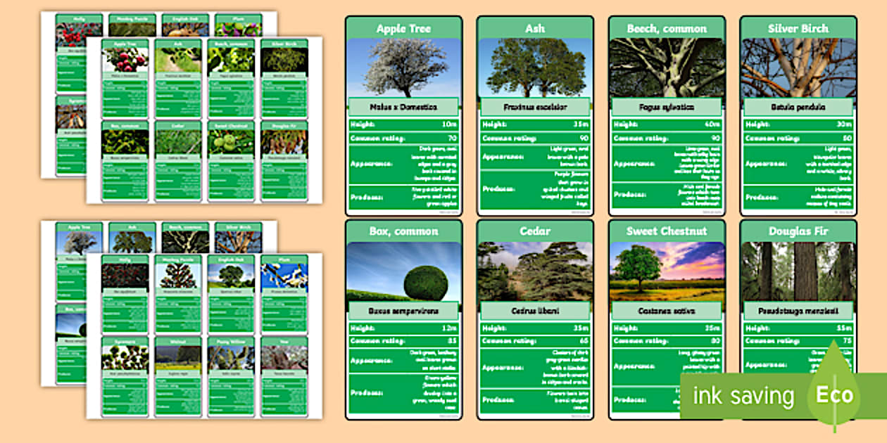 Editable British Trees Top Card Game (teacher made) - Twinkl