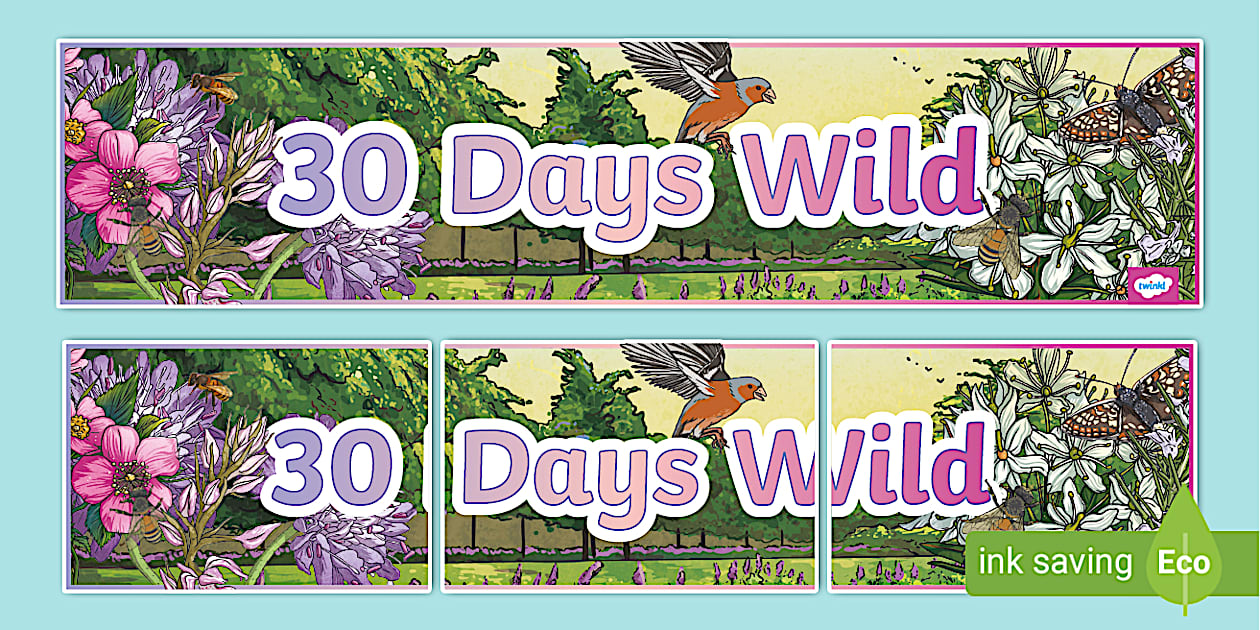 30 Days Wild Display Banner (teacher made) - Twinkl
