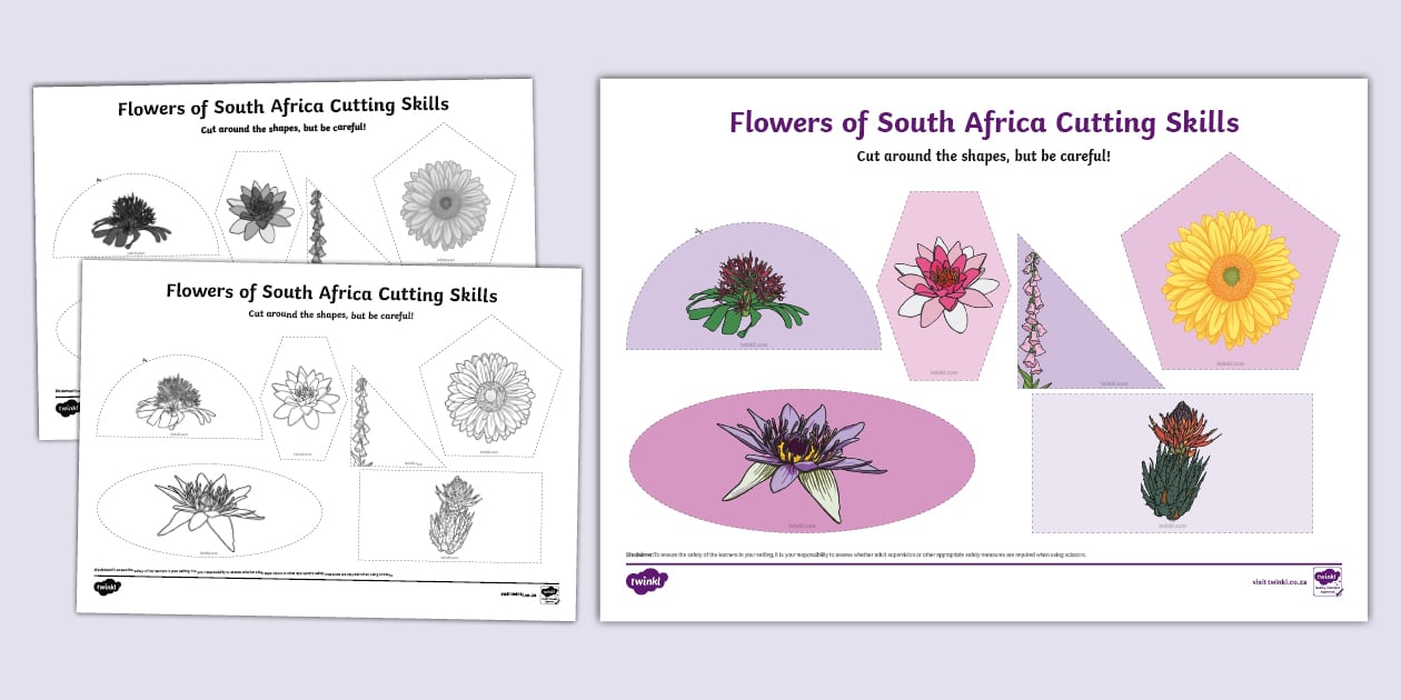 LS Creative Arts Flowers of SA Cutting Skills Worksheet (CAPS)