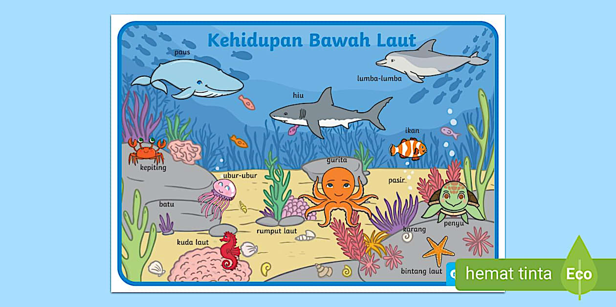 Poster Kosakata tentang Laut (Teacher-Made) - Twinkl