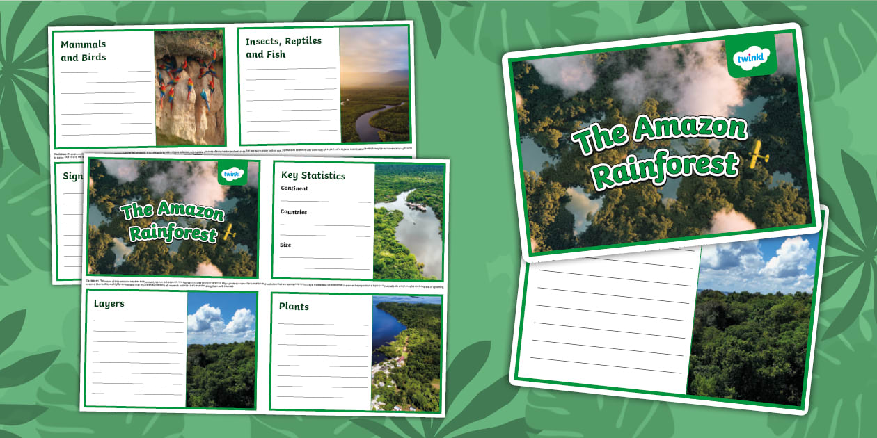 Amazon Rainforest Fact Cards Template Twinkl - Twinkl