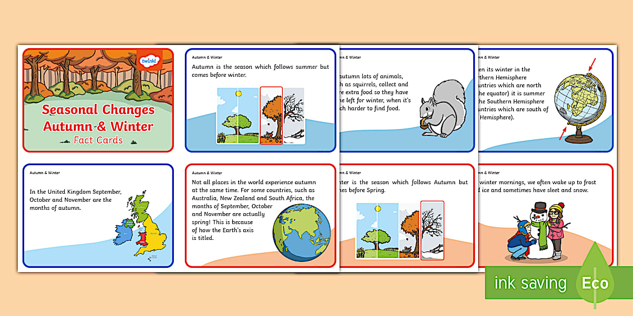 Seasonal Changes Autumn and Winter Fact Cards (teacher made)