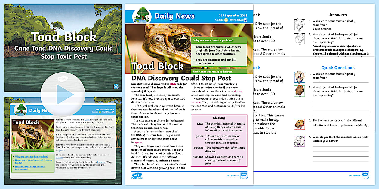 LKS2 Cane Toad DNA Daily News Resource Pack (teacher made)