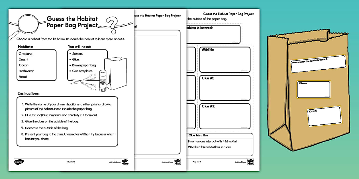 Guess the Habitat Paper Bag Project for K-2nd Grade - Twinkl