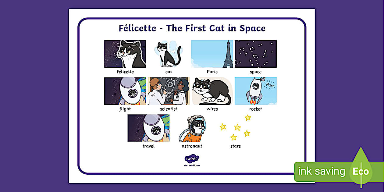 Félicette - The First Cat in Space Word Mat (Teacher-Made)