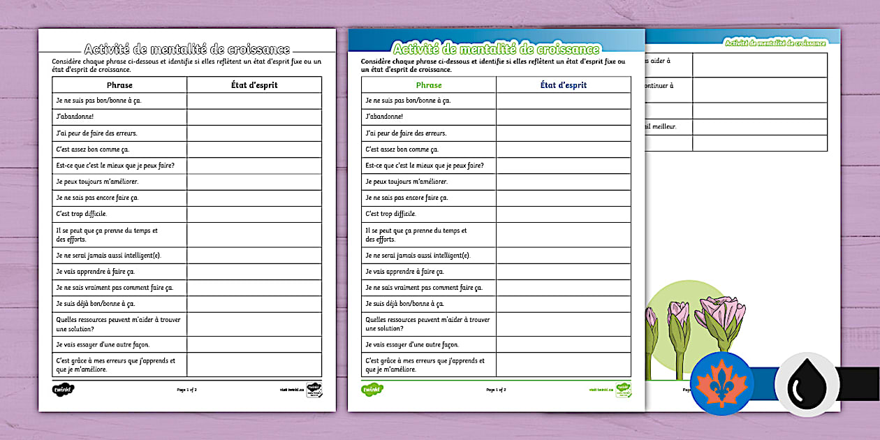 Growth Mindset in the Classroom Activity sheet French