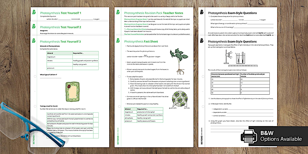 KS3 Photosynthesis Revision Pack | KS3 Biology | Beyond