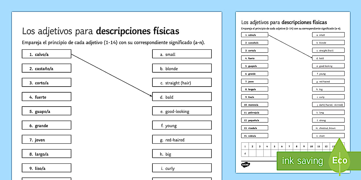Adjectives for Physical Description Matching Worksheet / Worksheet Spanish