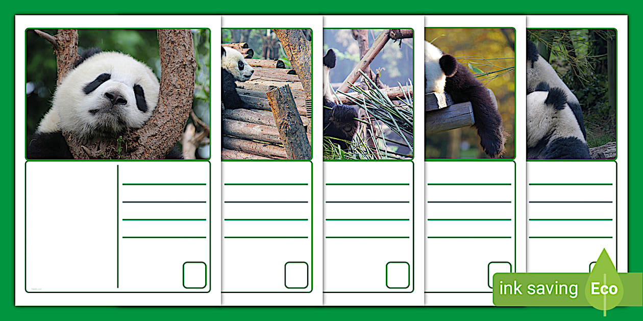 Panda Postcards | Postcards | Writing Task (teacher made)