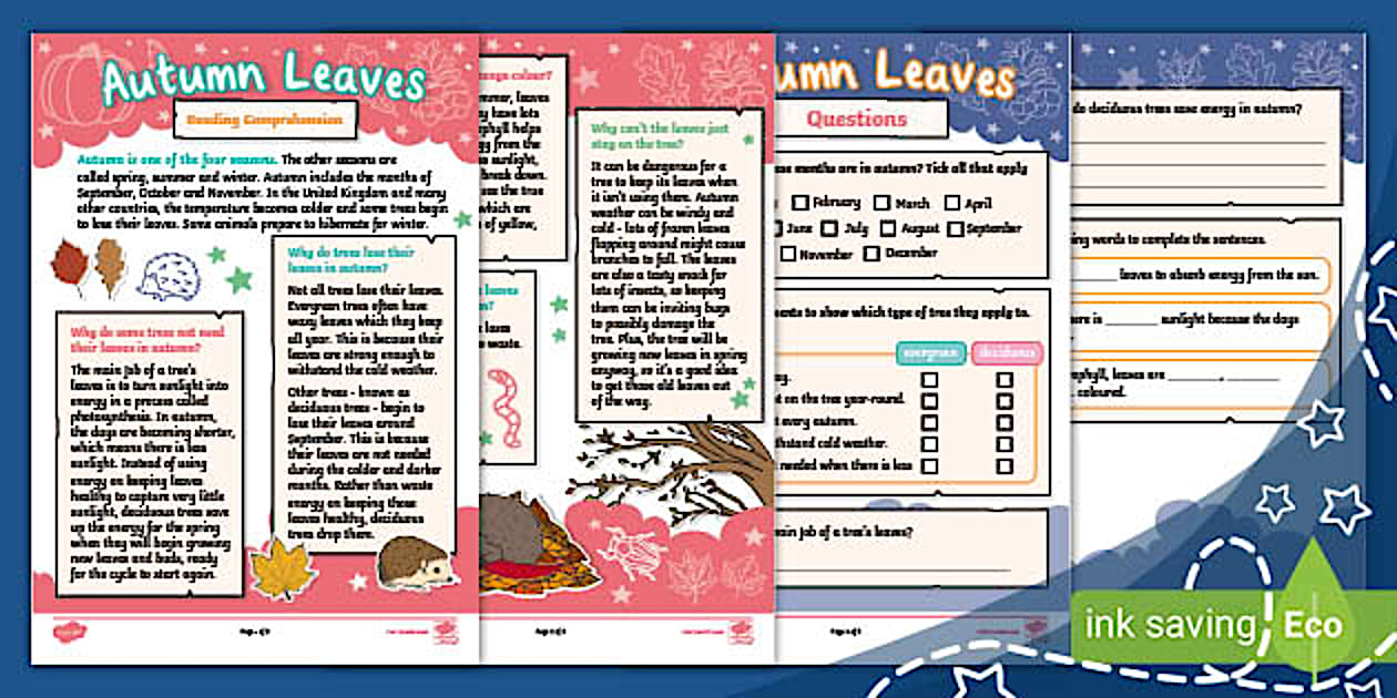 Autumn-Themed Reading Comprehension (Ages 6 - 7) - Twinkl