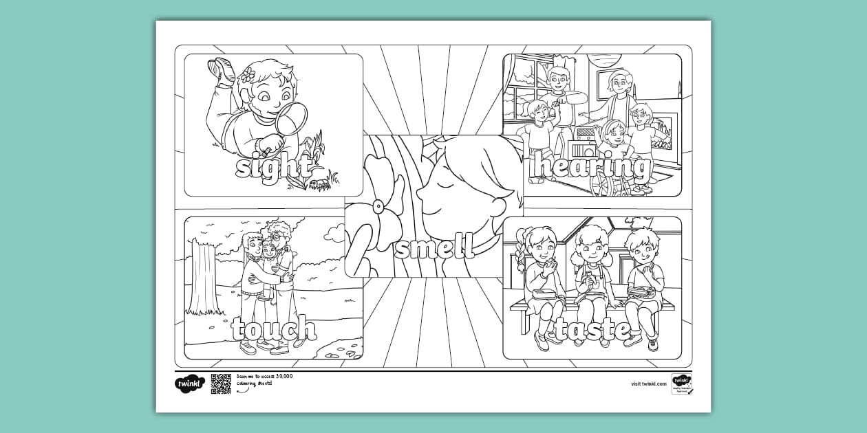 Five Senses Colouring Page (teacher made) - Twinkl