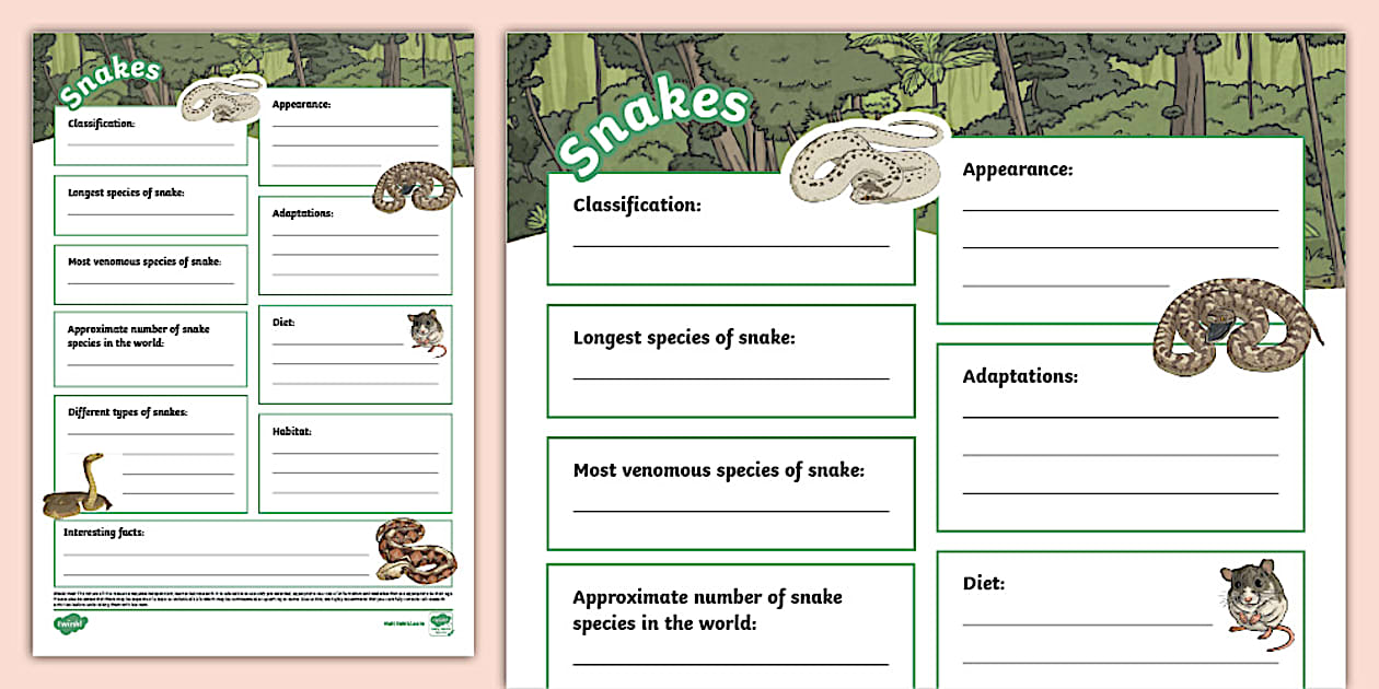 KS2 Snakes Fact File Template - Twinkl English - Twinkl