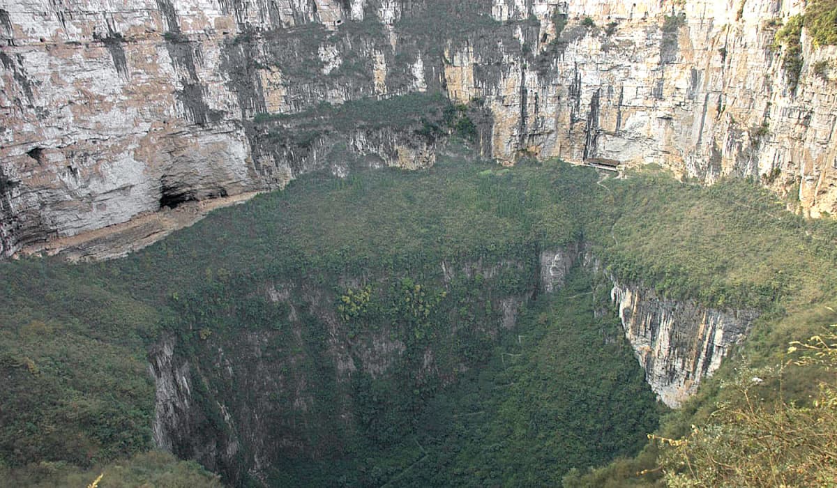 Ancient Forest Discovered in Sinkhole - Twinkl NewsRoom