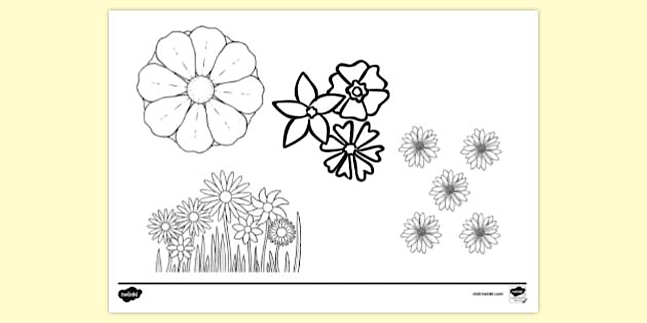 Detailed Flower Colouring | Colouring Sheets - Twinkl