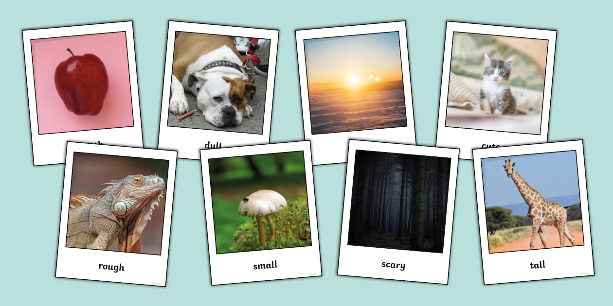 Adjectives Instant Photo Style Display Images - Twinkl