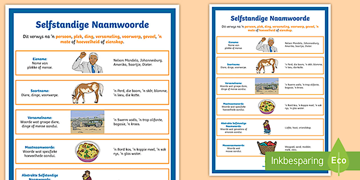 Selfstandige Naamwoorde Plakkaat (teacher made) - Twinkl
