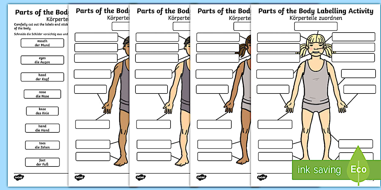 Body Parts Labelling Activity English/German (teacher made)
