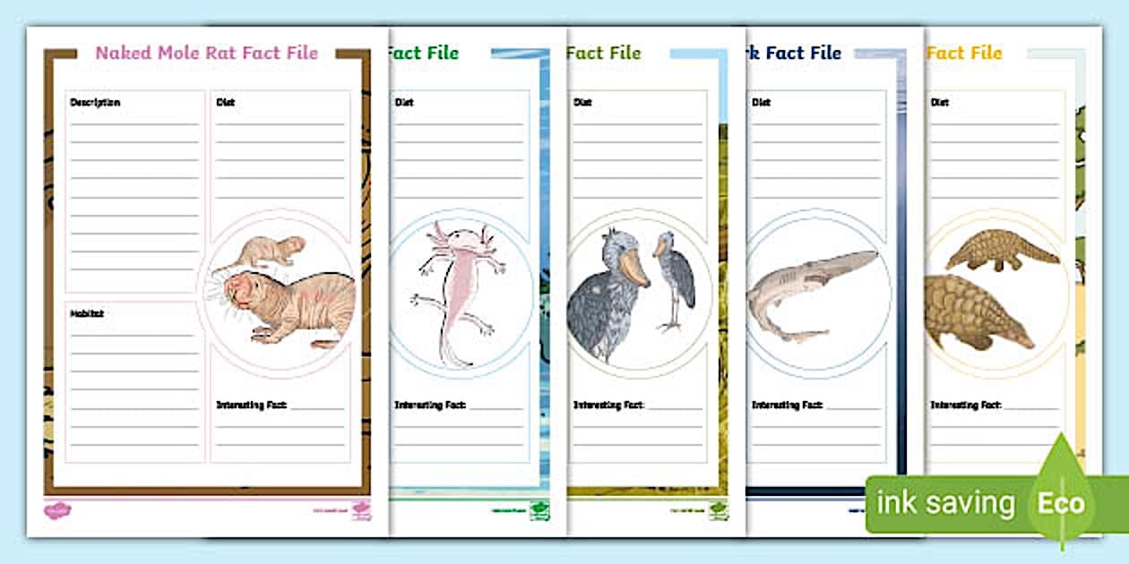 Strange and Wonderful Animals Fact File Worksheets - Twinkl