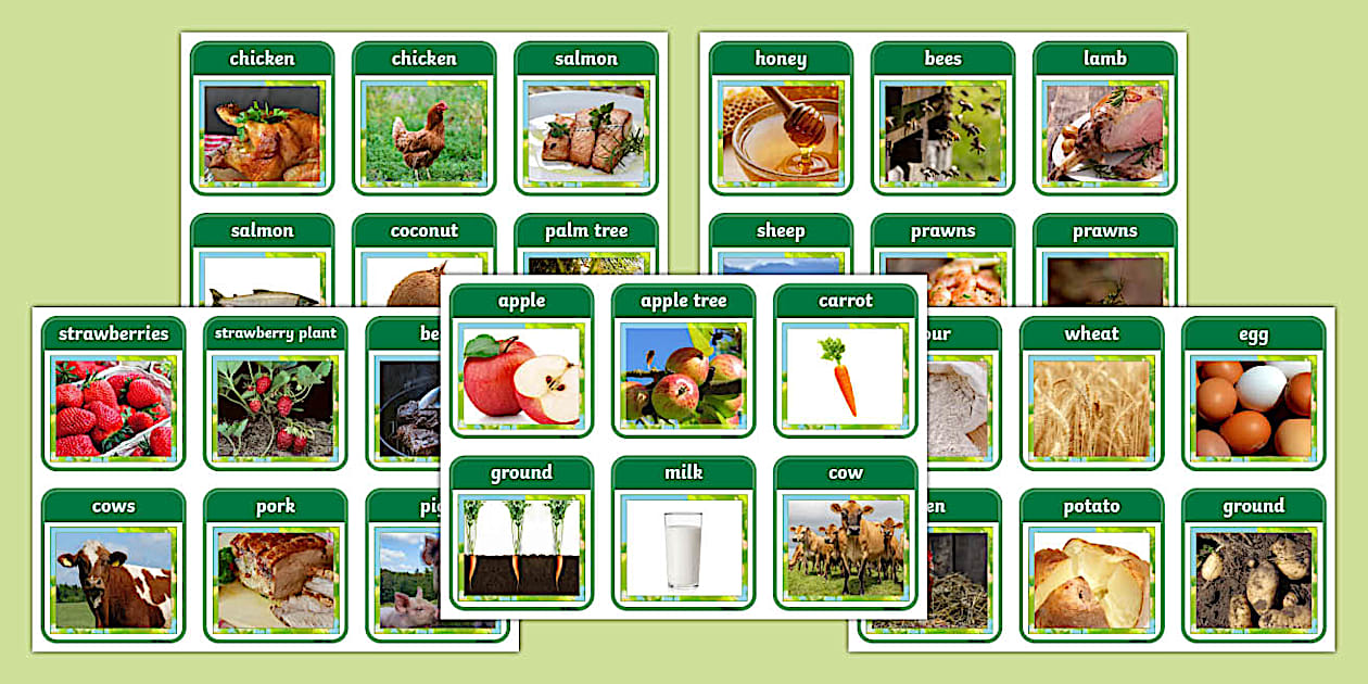 From Field to Fork: Food Origin Matching Cards - Twinkl