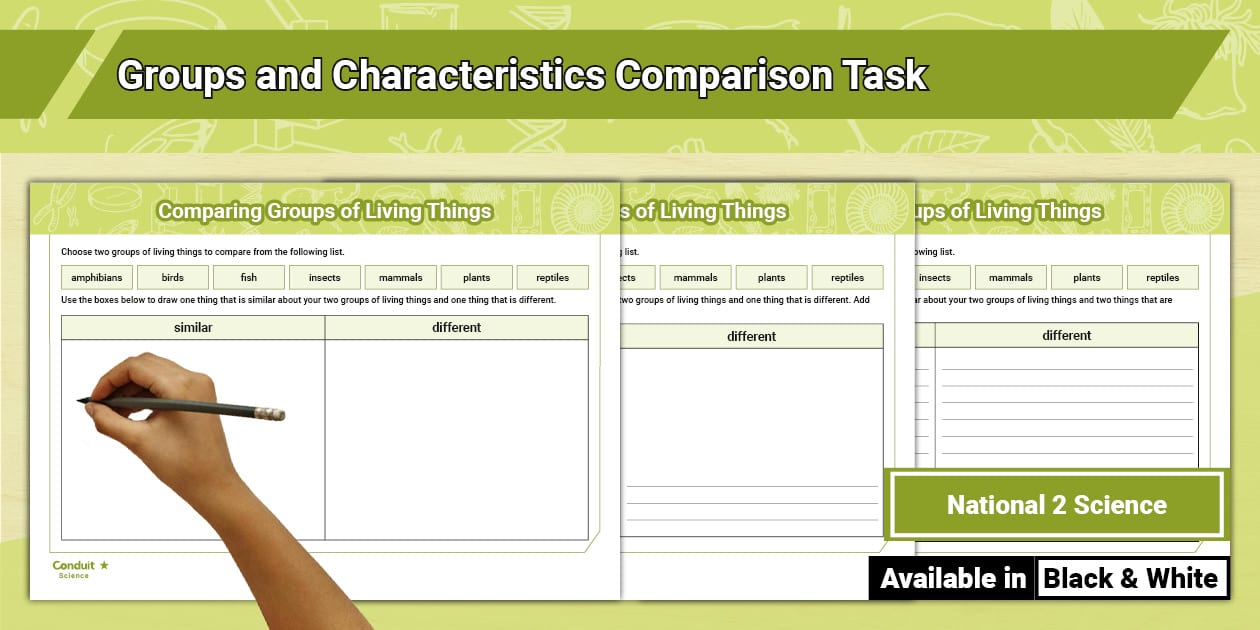 Groups and Characteristics Comparison Task