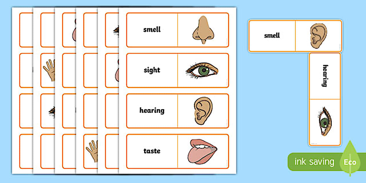 Editable The 5 Senses Dominoes (teacher made) - Twinkl