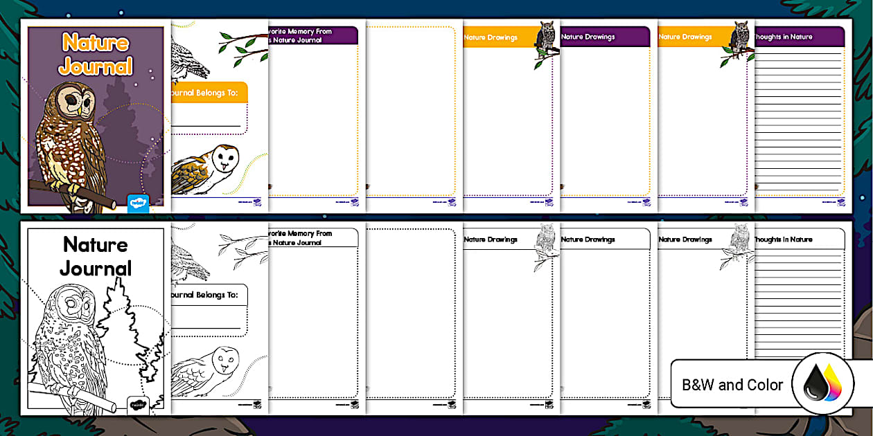 Owl-themed Nature Journal (teacher made) - Twinkl