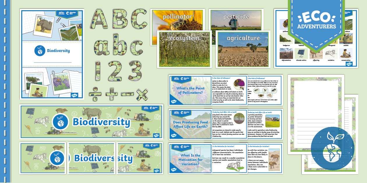 FREE! - Year 6 Biodiversity: Display Pack (Teacher-Made)