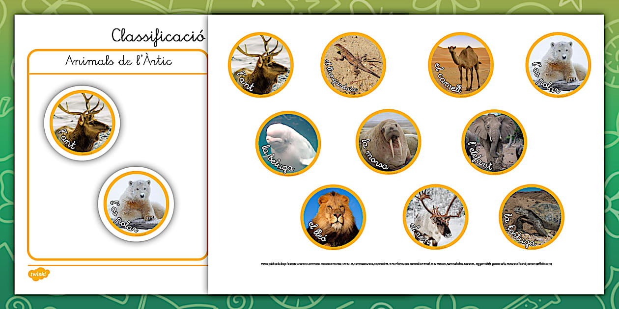 Fitxa d'activitat: Classificació dels animals - Català