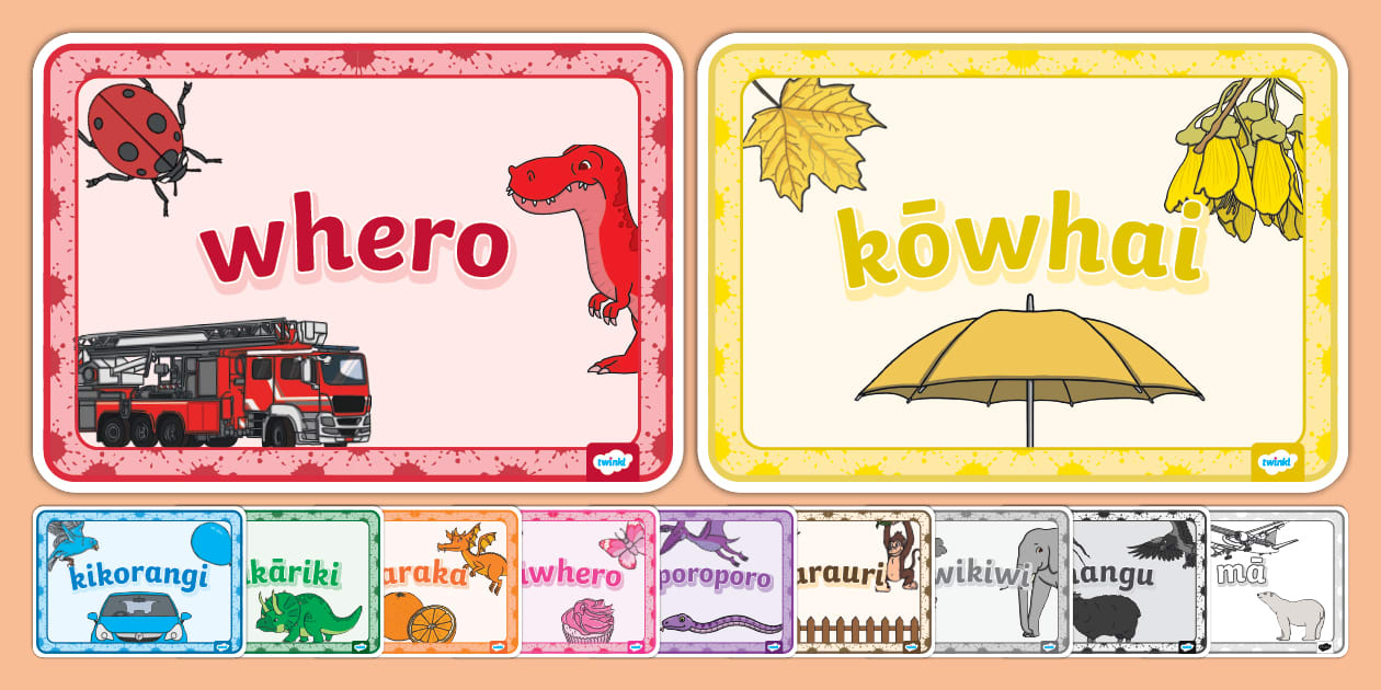 Māori Language Week Colour Sorting Activity (teacher made)