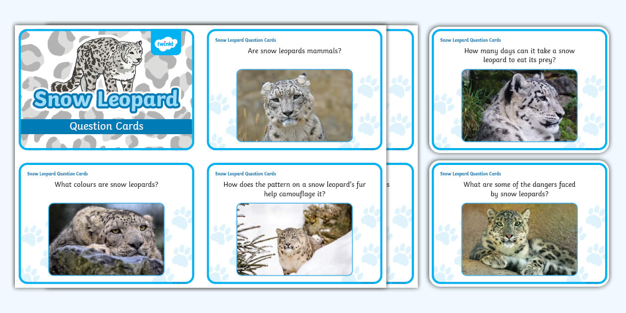 Snow Leopard Question Cards - KS1 - Animals - Twinkl