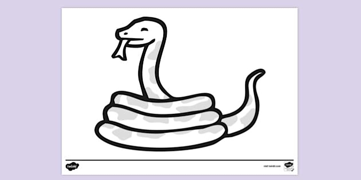 Snake Colouring Page | Colouring Sheets - Twinkl