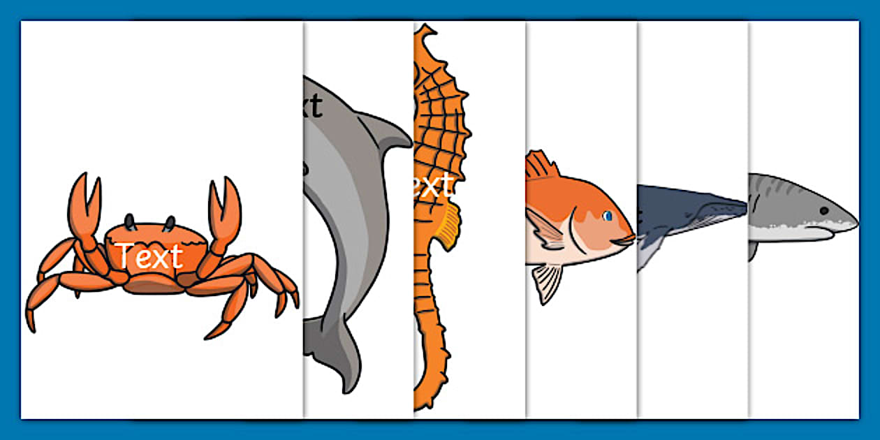 Editable Under the Sea Creatures (teacher made) - Twinkl