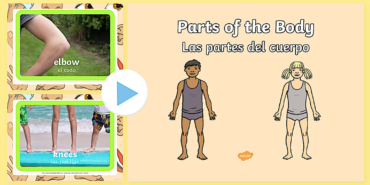 Parts of the Body PowerPoint - English / Spanish - EAL, Parts of the Body