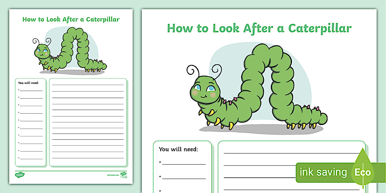 How to Look After a Caterpillar Activity - Twinkl