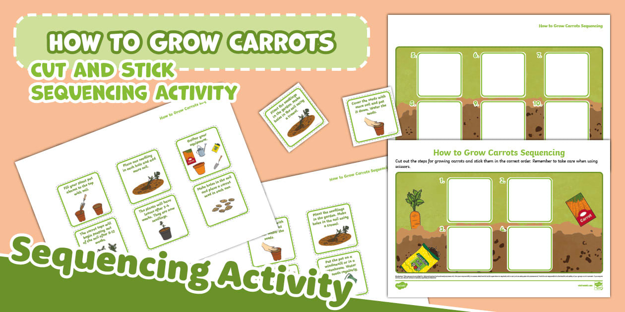 How to Grow Carrots Cut and Stick Sequencing Activity