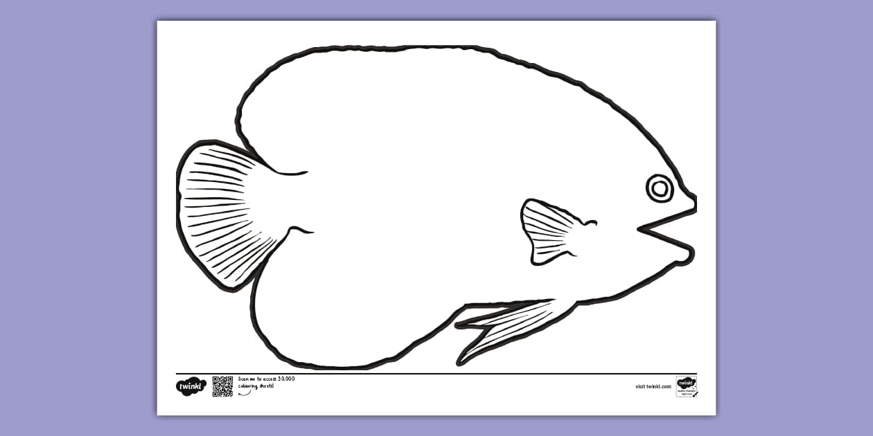Angel Fish Colouring Sheet | Sea Colouring Pages | KS1
