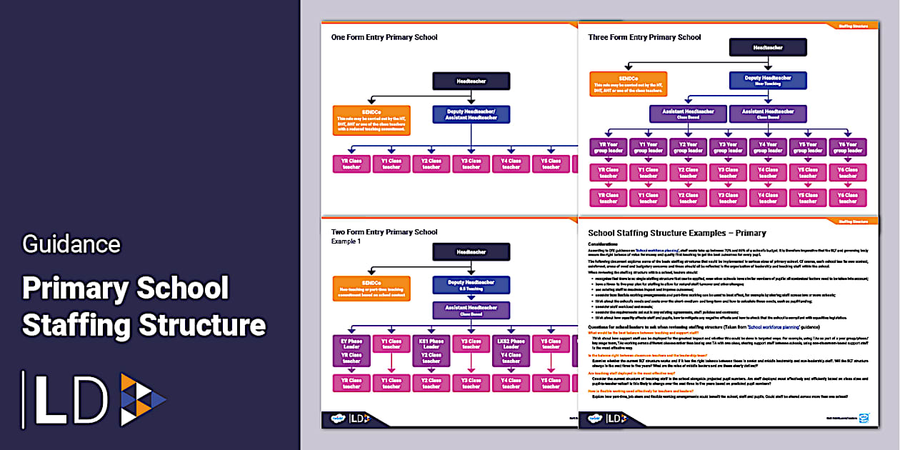 Primary School Staffing Structure - Leaders - SLT - Twinkl