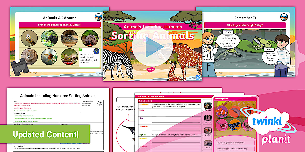 Sorting Animals Year 1 | Animal Groups Lesson Plan | Science